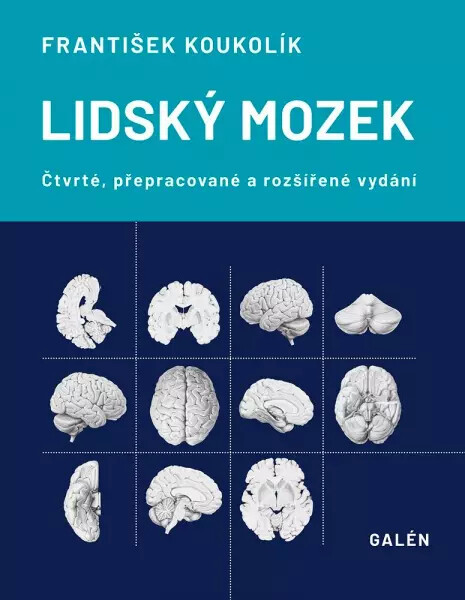 Lidský mozek - František Koukolík | Knihy Dobrovský