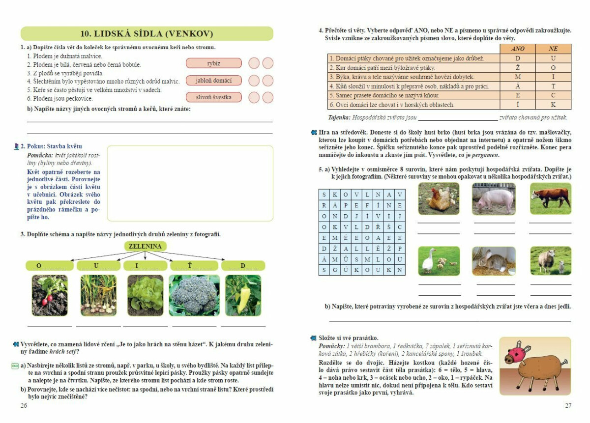 Přírodověda 4 – pracovní sešit, Čtení s porozuměním (44-31) - Thea ...