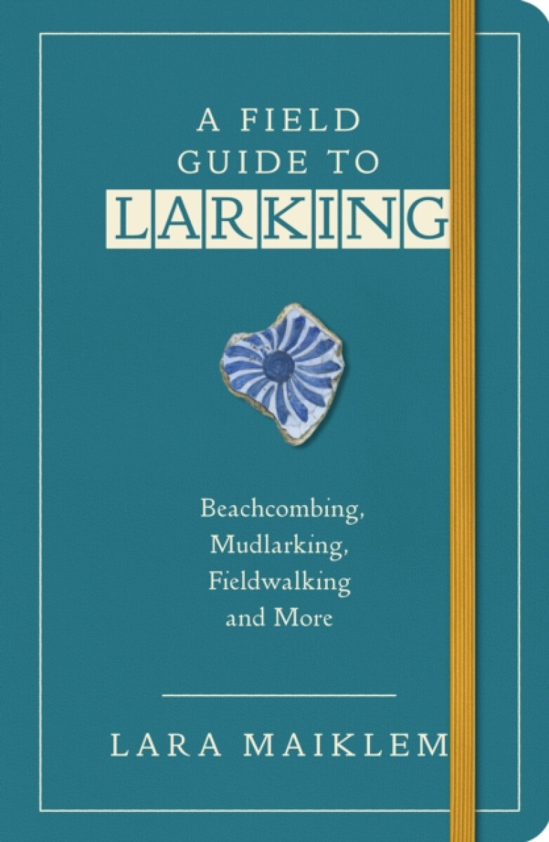 A Field Guide to Larking - Lara Maiklem | Knihy Dobrovský
