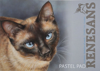 Blok pro pastel Renesans A4 | Knihy Dobrovský
