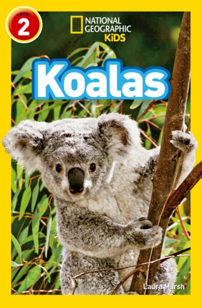 Koalas - Laura Marsh | Knihy Dobrovský